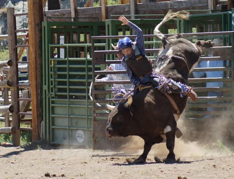 Ultimate Mini Bullriding Tickets - The Sublette County Fairgrounds on ...