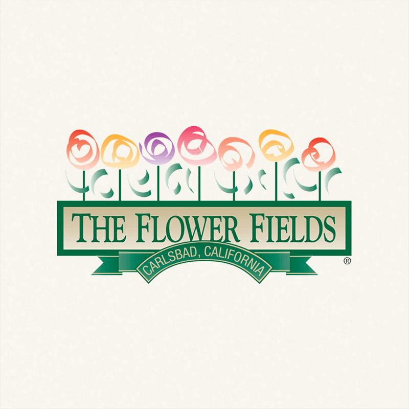 Buy Tickets For Your Favorite Events – See Tickets US