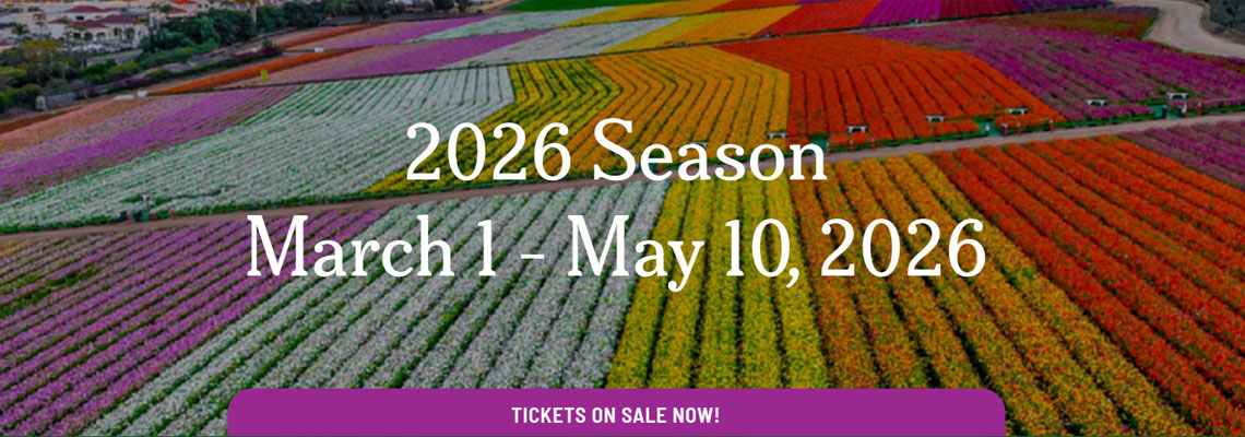Buy Tickets For Your Favorite Events – See Tickets US